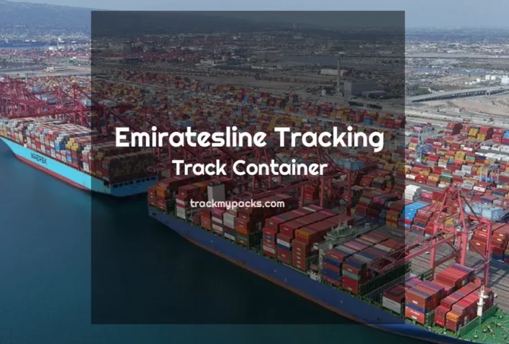 Container